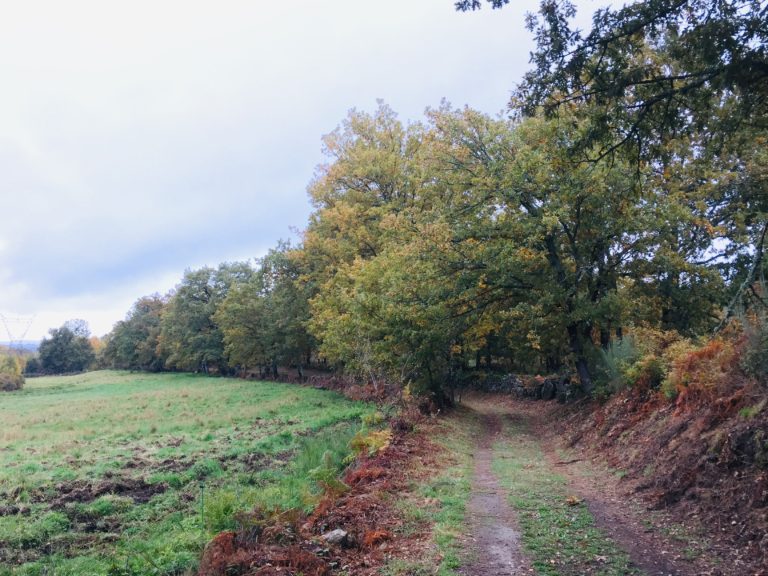 The Silver Route - Part IV: Travels in Galicia A Life on the Way